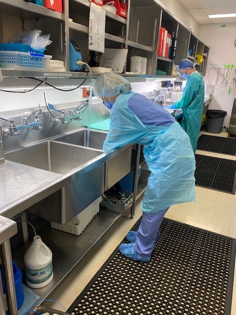 Common problems at sinks in reprocessing departments