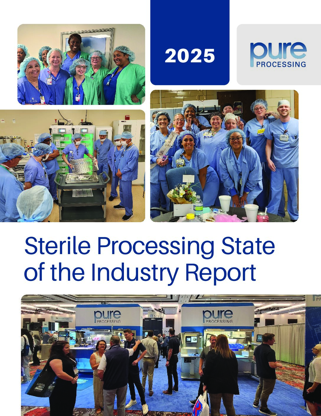 2025 SPD Report: Executive Summary | Pure Processing